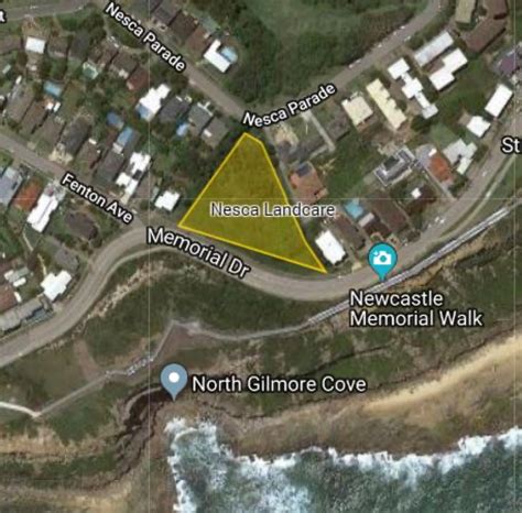 Nesca Parade Landcare The Hill Hunter Region Landcare Network