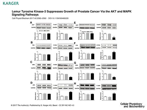 Cell Physiol Biochem DOI Ppt Download