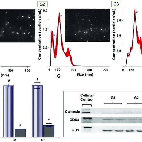 Four Rna Extraction Protocols 1 Qiazol Mirneasy Minikit Q 2