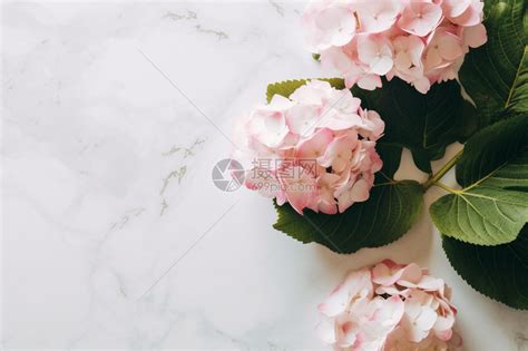 大理石上的花卉高清图片下载 正版图片600345609 摄图网