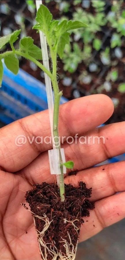 shubhendu shekhar rana on linkedin it s a it was an incredible