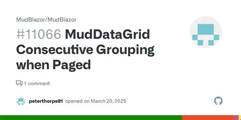 Muddatagrid Consecutive Grouping When Paged · Issue 11066 · Mudblazor