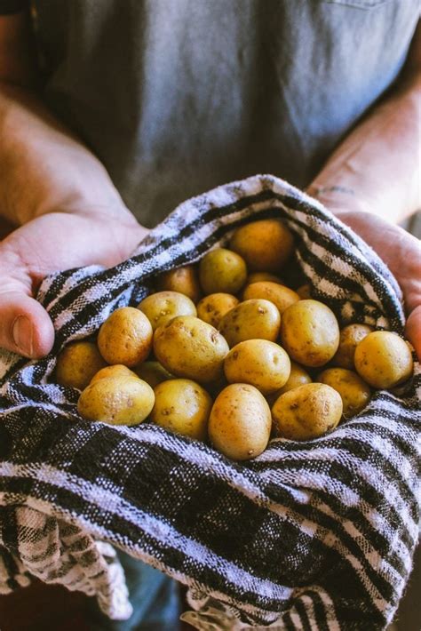 The Easiest Garlic Smashed Potatoes From The Fitchen