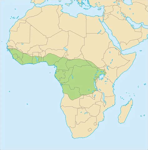 Tree Pangolin Facts Diet Habitat And Pictures On Animaliabio