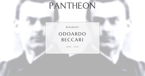 Odoardo Beccari Biography Pantheon