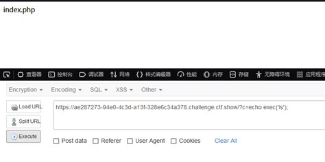 Ctf中遇到exec和shellexec的回显问题exec 回显 Csdn博客 Ctf中遇到exec和shellexec的回显问题exec 回显 Csdn博客