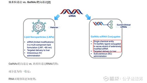 N 乙酰半乳糖胺（galnac） 基于特定化学修饰的靶向递送这一类递送技术中知名度最高的当属n 乙酰半乳糖胺（galnac）修饰介导的肝靶向