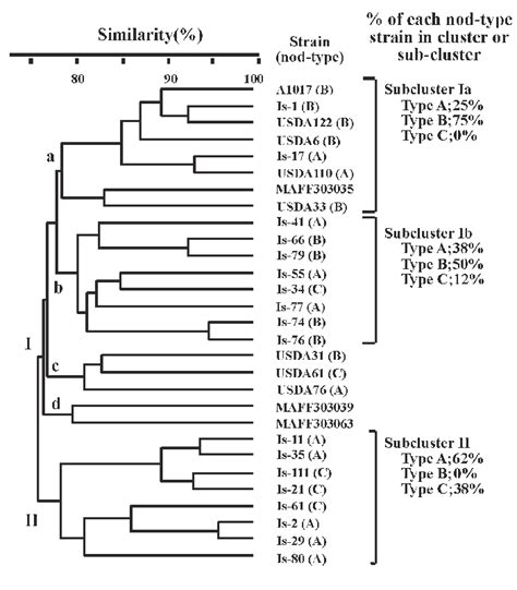Dendrogram Constructed By The UPGMA Cluster Analysis From AFLP Download Scientific Diagram