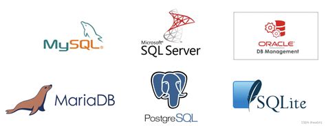 Mysql 数据库基础介绍 Csdn博客