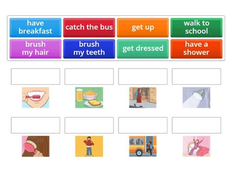 Daily Routines Matching Match Up