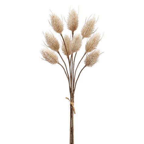 14 Artificial Hares Tail Flower Stem Bundle Beige — Silks Are Forever