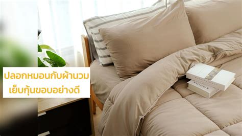 Liola Thailand Liola Thailand กันแดดลิโอล่า