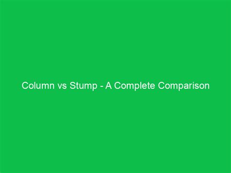 Column Vs Stump A Complete Comparison Prep My Career