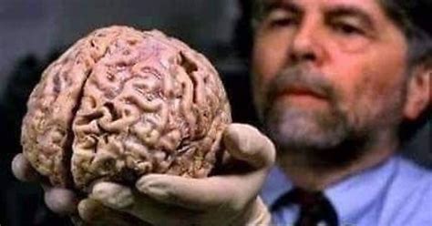 Here You Go Imgur Devs Album On Imgur Here You Go Imgur Devs Album On Imgur