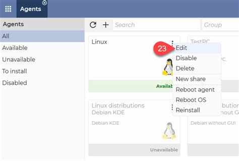 Linux Install The Agent With Credentials Console Dwservice Docs