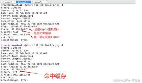 Nginx 缓存功能 Ip透传 负载均衡 (六)响应报文头中的rmip Csdn博客 Nginx 缓存功能 Ip透传 负载均衡 (六)响应报文头中的rmip Csdn博客