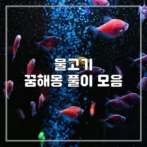 물고기 꿈해몽 풀이 모음 물고기 나오는 꿈 그물로 물고기 잡는 꿈 등