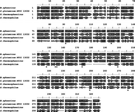 Multiple Amino Acid Sequence Alignment Between Meso Dapdhs From S