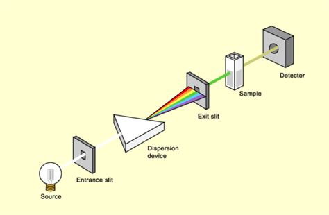 How Does The Uv Vis Spectrometer Work At Winston Blanton Blog