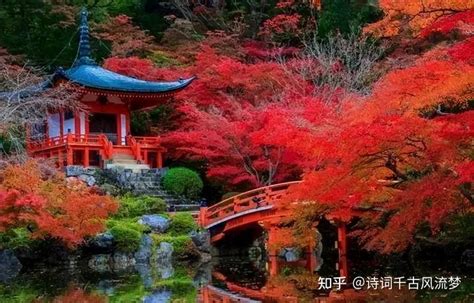 立冬品味6首最美立冬诗词一路向阳我心亦暖 知乎
