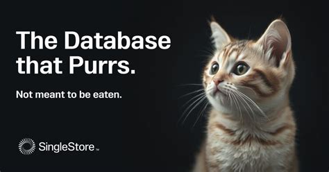 singlestore on linkedin singlestore database realtimedata