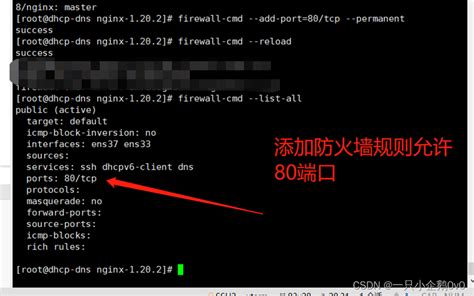 lnmp架构搭建wordpress lnmp部署wordpress CSDN博客 lnmp架构搭建wordpress lnmp部署wordpress CSDN博客