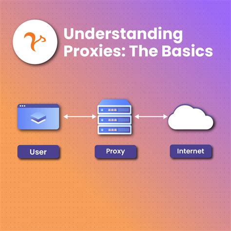 5 best free proxy servers of 2025 netnut proxies