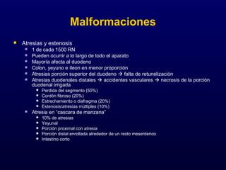 Desarrollo Del Intestino Anterior Medio Y Posterior Ppt
