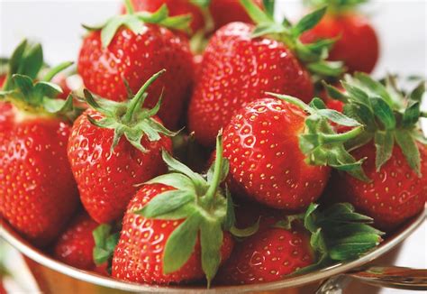 Win Six Suttons Naked Root Strawberry Crops Batang Tabon