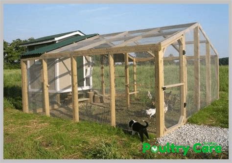 10 Free Chicken Run Plans And Ideas That Are Easy To Build 100 Free