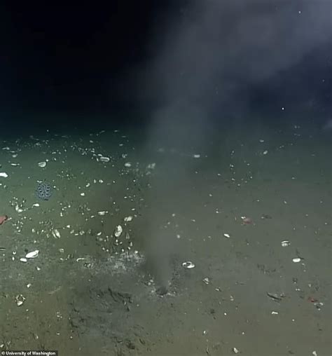 Seattle Could Be Hit By Megaquake After Experts Find Two Fault Lines Daily Mail Online