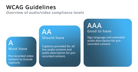 A Practical Guide To Wcag Video Accessibility Requirements