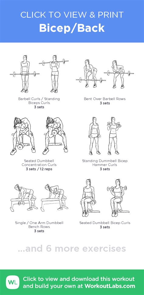 Bicepback · Free Workout By Workoutlabs Fit Back And Bicep Workout