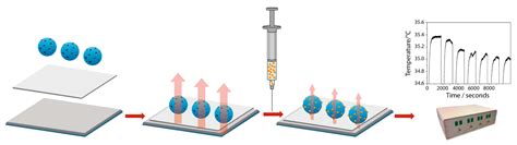 Chemosensors Free Full Text Recent Advances In Molecularly