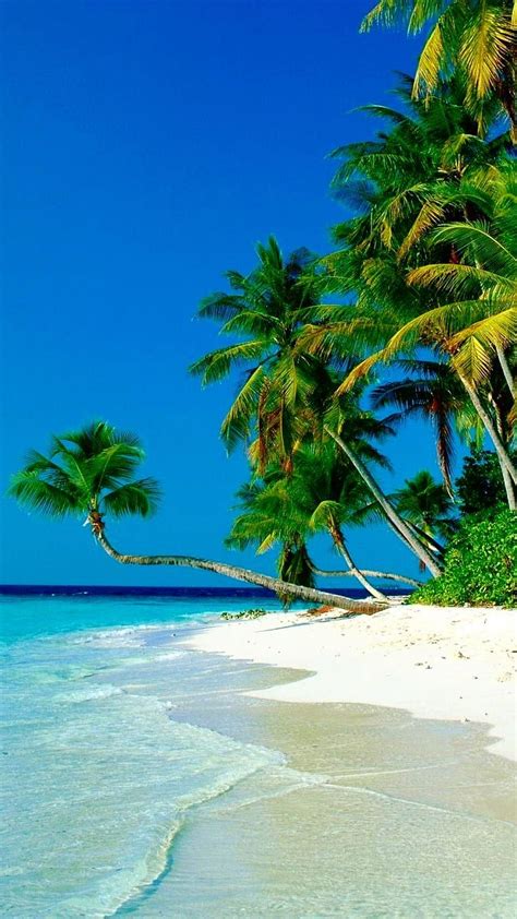 Turquoise Beach Wallpapers Top Free Turquoise Beach Backgrounds
