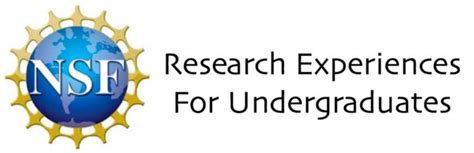 Summer Research Experience For Undergraduates REU