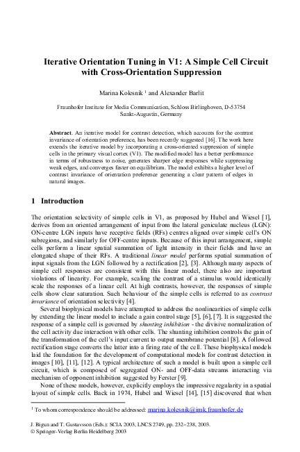 Pdf Iterative Orientation Tuning In V1 A Simple Cell Circuit With Cross Orientation Suppression