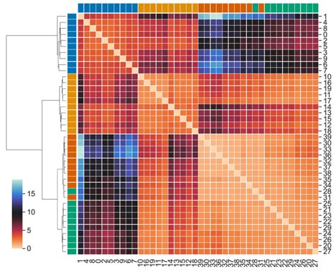 Pairwise Hypernetwork Distances Across The Dataset Of 40 Simulated