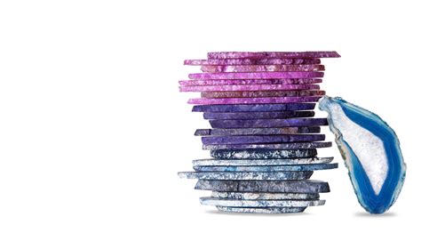 Buy Fossils For Sale Online British Fossils