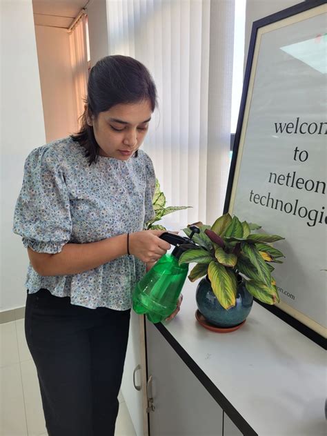 Netleon Technologies Pvt Ltd On Linkedin Officesanctuary Greenworkspace Workplacetranquility
