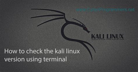 how to check view the kali linux version using terminal cyber