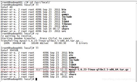 Linux环境下部署mysql数据库linux下mysql数据库 Csdn博客
