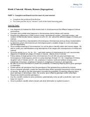 Week 4 Tutorial Part 1 Problems Answer Key For Canvas Pdf Biology 234 Week 4 Course Hero