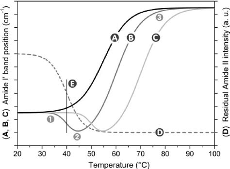 Speculative Position Of The Amide I And Intensity Of The Residual Amide Download Scientific