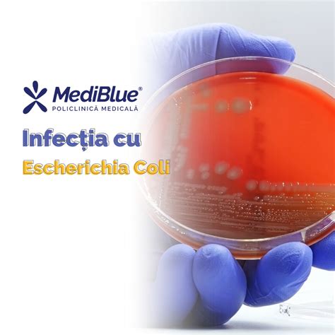 Infecția Cu Escherichia Coli • Mediblue