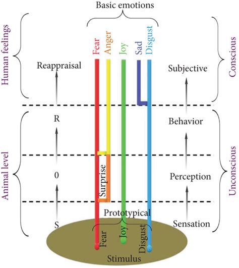 a schema shows that joy fear and disgust are three prototypical