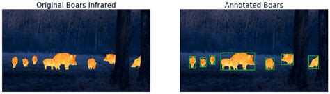 Roadmap To An Automated Image Annotation Tool Using Opencv