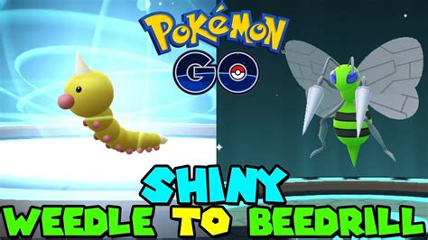 How To Catch 20 Shiny Pokemon And 100 Iv Pokemon Ii Weedle Community