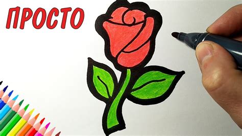 Как нарисовать РОЗУ Простые рисунки Youtube