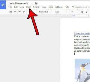 How To Insert A Horizontal Line In Google Docs Solve Your Tech